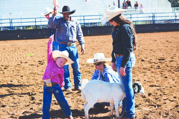 Valley Isle Scoreboard | News, Sports, Jobs - Maui News